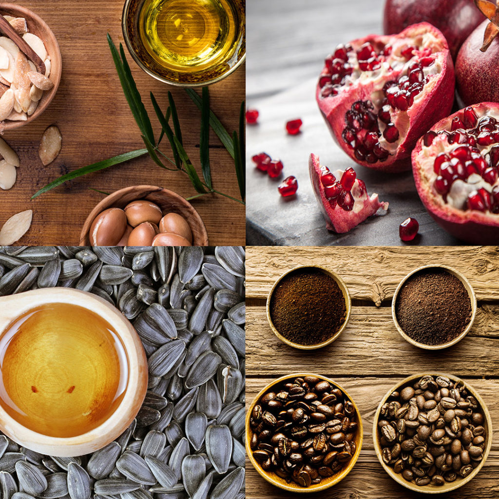 Active ingredients - Esteticare EN